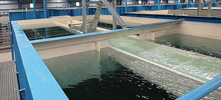 Clarifier Maintenance