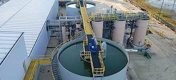 Wastewater, Algae, and the New Pathway to Resource Recovery