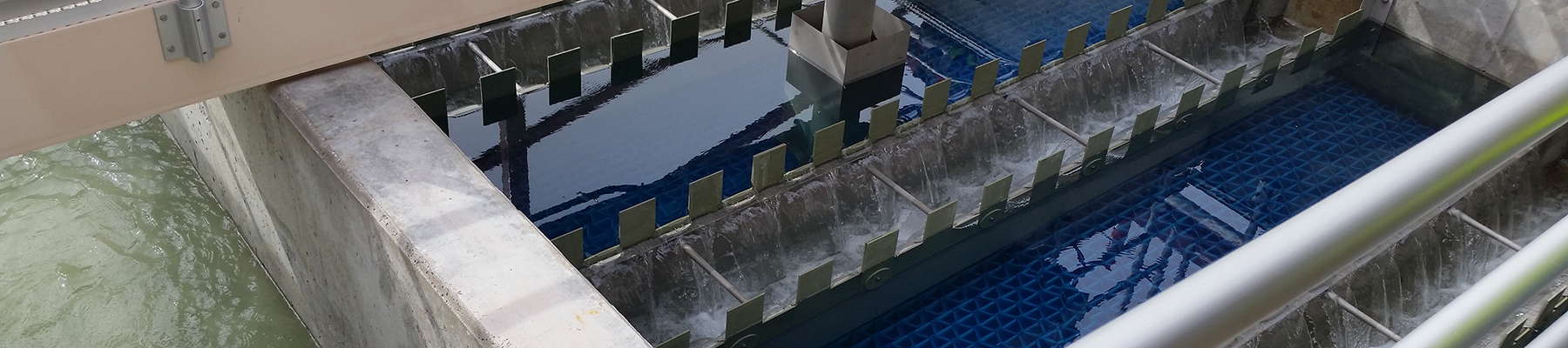 Combined Sewer Overflow Municipal Wastewater Treatment