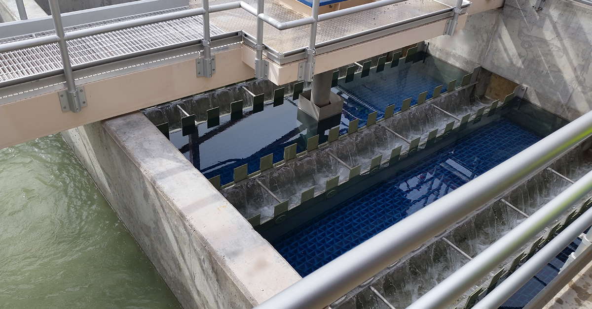Combined Sewer Overflow Municipal Wastewater Treatment