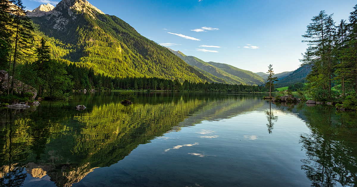 Sustainability at WesTech